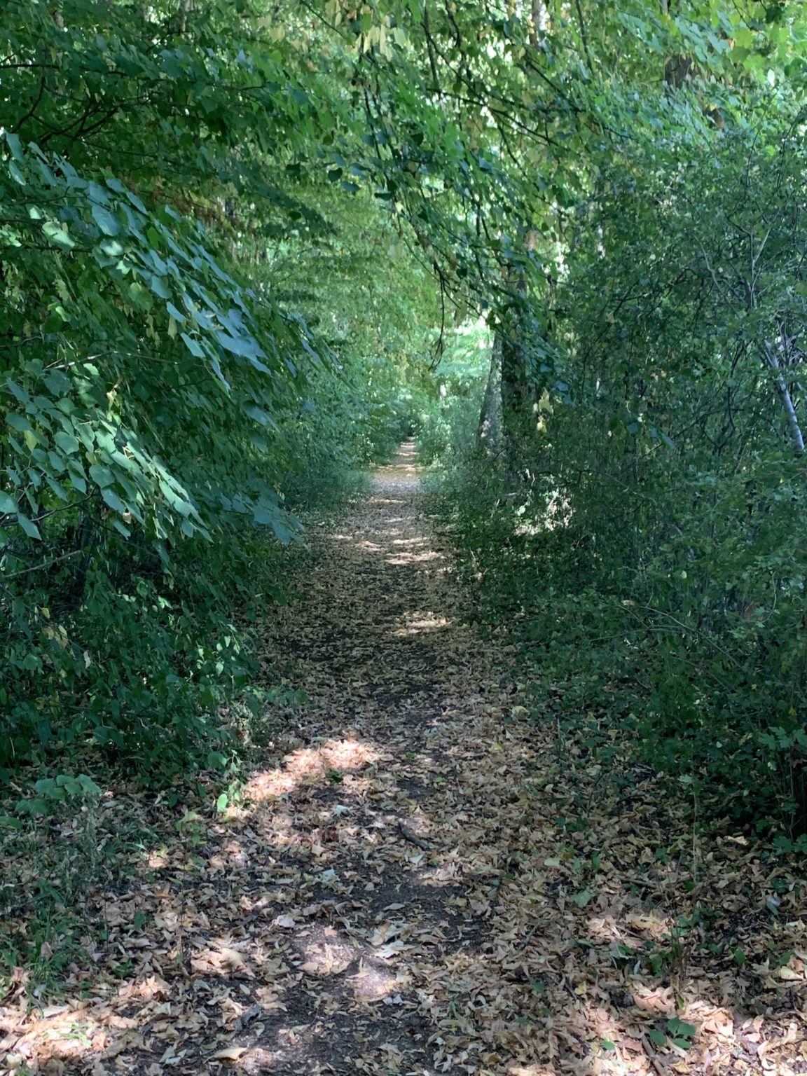 Les "Cahiers du Patrimoine" et les "Brèves du Patrimoine" élargissent ...